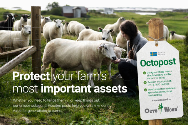 Wooden posts - The Octopost - Octo Wood