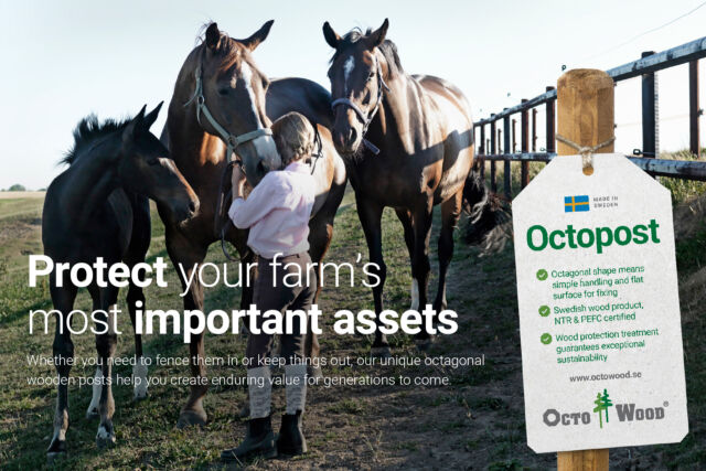 Wooden posts - The Octopost - Octo Wood