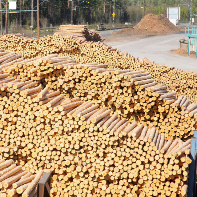 Sustainable octagonal posts from pine forests in the heart of Sweden ...